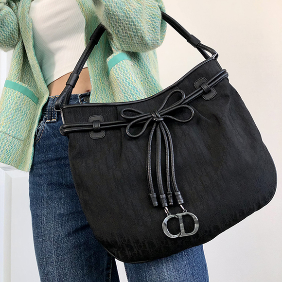 Dior | Bags | Dior Trotter Pattern Ribbon Logo Plate One Shoulder Bag ...